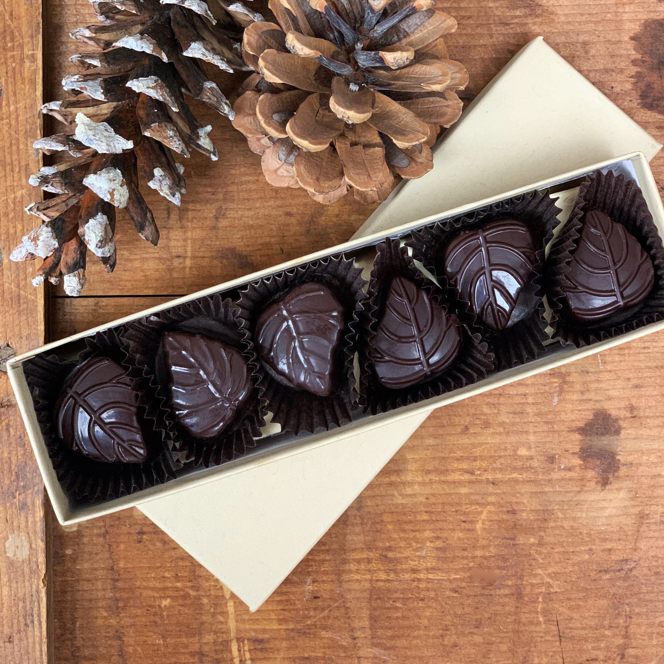 Deep Mint Leaf Bonbons - Tavernier Chocolates